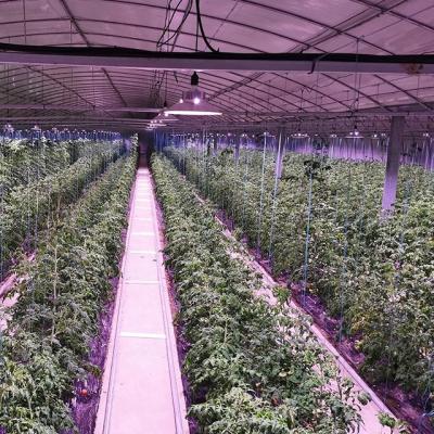 Cina Samsung LED tipo a spettro completo luce per la coltivazione in serra 36w 45w 50w E27 in vendita