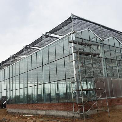 Cina Sistema idroponico avanzato per la coltivazione di ortaggi in serre agricole in vendita