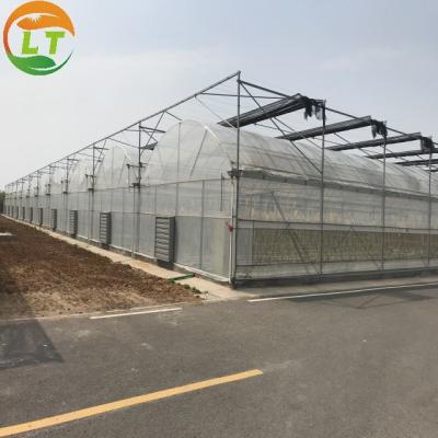 Cina Serra a uno strato con sistema di ombra all'interno e pellicola di plastica per la coltivazione di semi di ortaggi in vendita