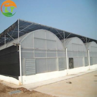 Cina Serra a uno strato con sistema di ombra all'interno e pellicola di plastica per la coltivazione di semi di ortaggi in vendita