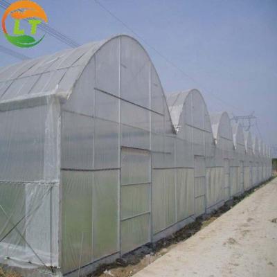 Cina Serra a uno strato con sistema di ombra all'interno e pellicola di plastica per la coltivazione di semi di ortaggi in vendita