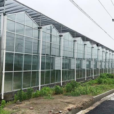 China Complete Multi-Span Agricultural Greenhouses Stable Structure for Quick Construction for sale