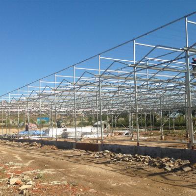 China Complete Multi-Span Agricultural Greenhouses Stable Structure for Quick Construction for sale