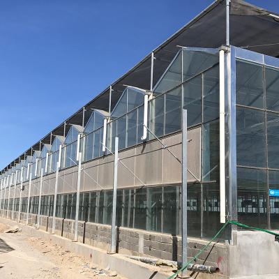 China Complete Multi-Span Agricultural Greenhouses Stable Structure for Quick Construction for sale