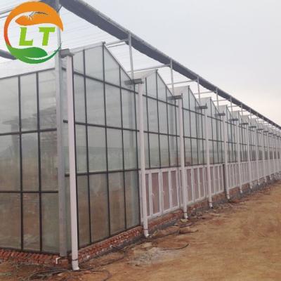 Cina Sistema di ventilazione compreso Serra di vetro Venlo con struttura di tubi in acciaio galvanizzato in vendita