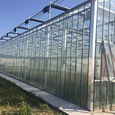 Cina Serra agricola multi-span per la coltivazione di ortaggi, frutti e fiori in ogni stagione in vendita