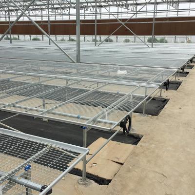 Cina Serra agricola multi-span per la coltivazione di ortaggi, frutti e fiori in ogni stagione in vendita