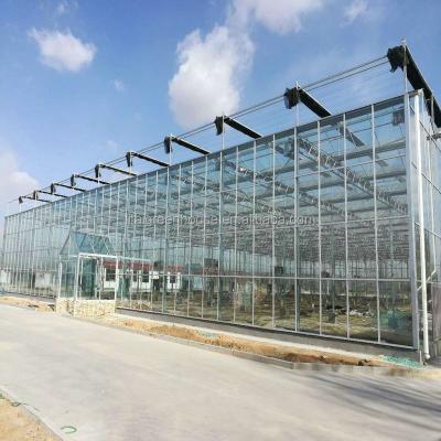 Cina Serre agricole multi-span Serre di vetro per l'agricoltura moderna in vendita