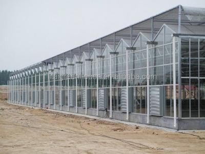 Cina Serre agricole multi-span Serre di vetro per l'agricoltura moderna in vendita