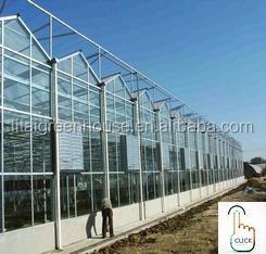 Cina Serre agricole multi-span Serre di vetro per l'agricoltura moderna in vendita