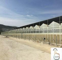 Cina Serre agricole multi-span Serre di vetro per l'agricoltura moderna in vendita