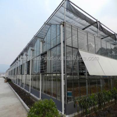 Cina Serre agricole multi-span Serre di vetro per l'agricoltura moderna in vendita