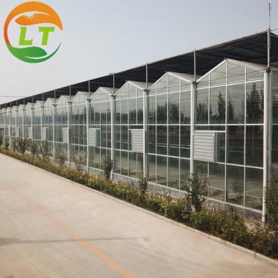 中国 迅速な建設 野菜を育てる温室 完全なマルチスペンデザイン 販売のため