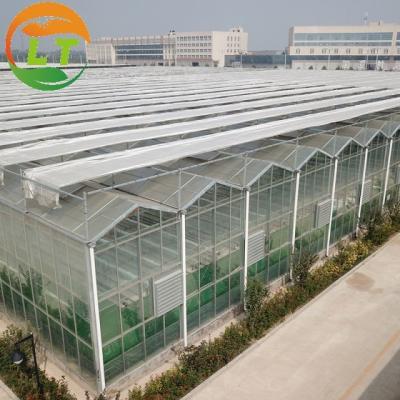 中国 迅速な建設 野菜を育てる温室 完全なマルチスペンデザイン 販売のため