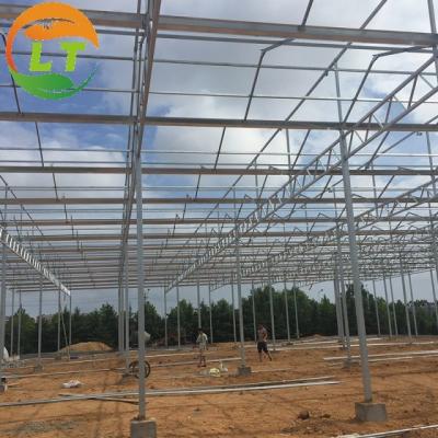 中国 迅速な建設 野菜を育てる温室 完全なマルチスペンデザイン 販売のため