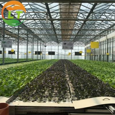 中国 迅速な建設 野菜を育てる温室 完全なマルチスペンデザイン 販売のため
