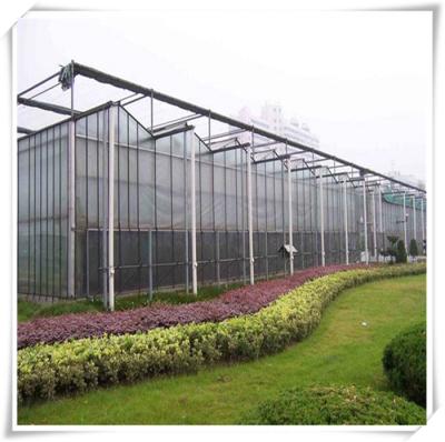 Cina Altezza 3m Agricoltura su misura Piccolo giardino di vetro Serra per la coltivazione di verdure in vendita