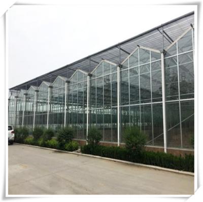 Cina Altezza 3m Agricoltura su misura Piccolo giardino di vetro Serra per la coltivazione di verdure in vendita