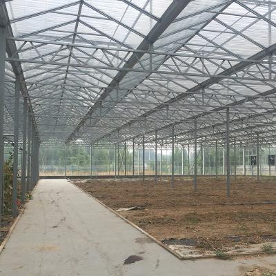 Cina Ortaggi Frutti Fiori Vetro Agricoltura Serra con ombra all'interno e all'esterno in vendita