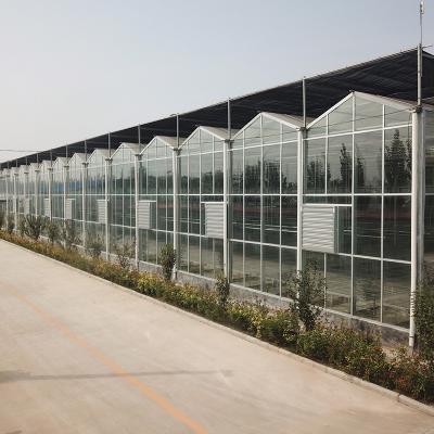 中国 大型透明ガラス温室 超強抵抗と水栽培システム 販売のため