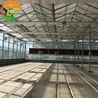 Cina Sistema di ventilazione superiore e laterale Grande serra da giardino in vetro in vendita