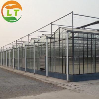 Cina Sistema di ventilazione superiore e laterale Grande serra da giardino in vetro in vendita