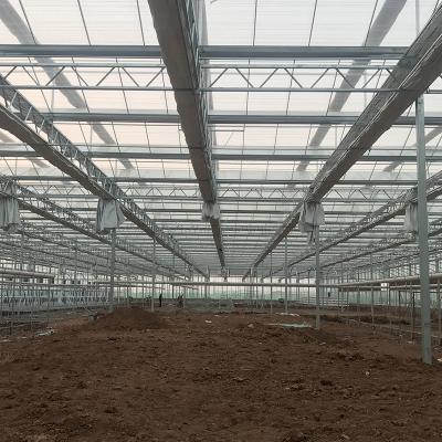 Cina Grande serra in vetro agricolo con sistema idroponico avanzato e copertura in vetro in vendita