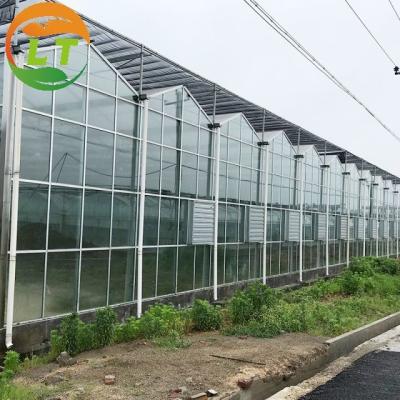 Cina Serra di vetro per l'agricoltura idroponica con sistema di ventilazione laterale a ventilazione superiore in vendita