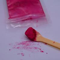 Quality Wholesale 24 Colors Mica Pigment Powder Cosmetic Lip Gloss Pigment for sale