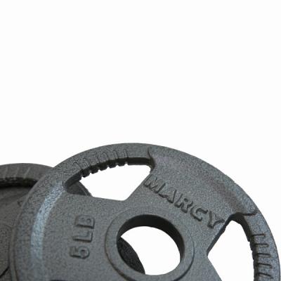 Cina Placcando i piatti rivestiti del bilanciere 5kg, Dia395mm i piatti della palestra del ghisa in vendita