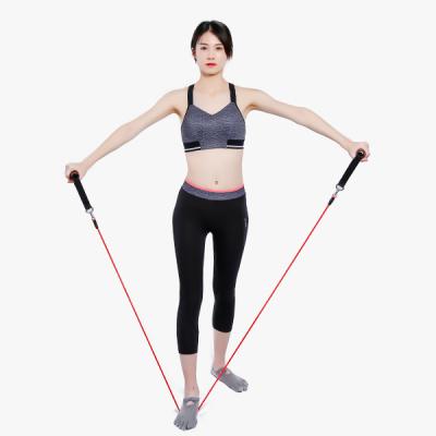 Cina TPE insieme della banda di resistenza di 11 pezzo, corredo portatile di 10LB Pilates Antivari in vendita