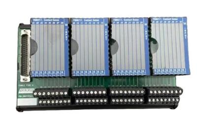 중국 폭스보로 P0916CA FBM217 32개의 디스크리트 입력 인터페이스 모듈 단일 또는 과잉 모듈 판매용