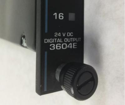 Cina 3604E Modulo di uscita digitale Invensys TRICONEX in vendita