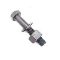 China ASTM A563 Heavy Hex Structural Bolts for sale