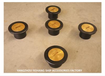China Sounding Pipe Head Measuring Pipe Head Sounding Injection Head Model As50 Cb/T3778 for sale