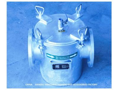 China Het Model van zeewaterzeven: Van het het LichaamsKoolstofstaal van AS125 CB/T497-2012 zonnebaadt Hot-Dip Gegalvaniseerde de Filterpatroon Type Te koop