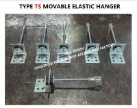 China TYPE TS MOVABLE ELASTIC HANGER OUTLINE DIMENSION &PERFORMANCE PARAMETERS for sale