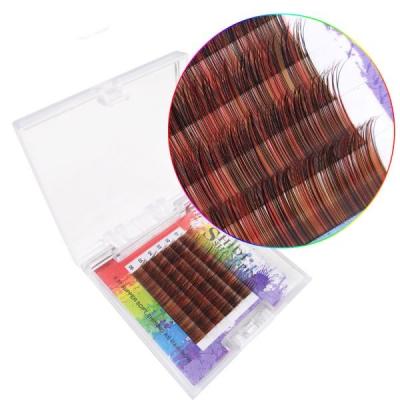 China Rainbow Color Individual False Eyelash Extensions C Curl 10-12mm Synthetic Fiber Silk Mink Lashes grafting orange black for sale
