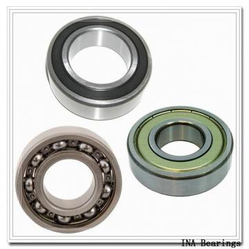 China INA RASE1 INA Bearings for sale