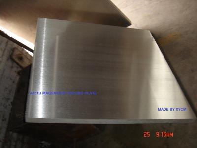 Cina Cubo del disco del blocchetto della billetta del piatto della lavorazione con utensili del magnesio di AZ91D AZ80A ZK60A in vendita