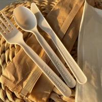 China 100% Biodegradable Wheat Straw Plastic Custom Injection Molding for Electronics Industry 3000T for sale