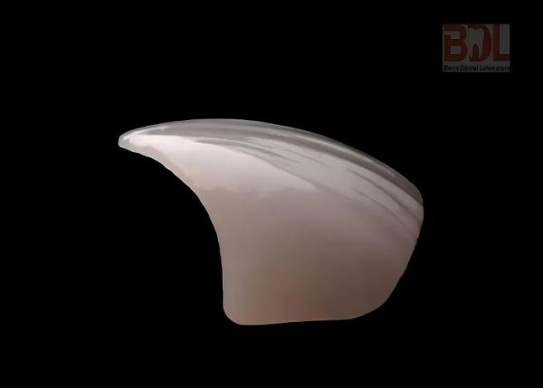 Quality High Translucency Custom Ceramic Veneer With Longevity 10 Plus Years In Dental for sale