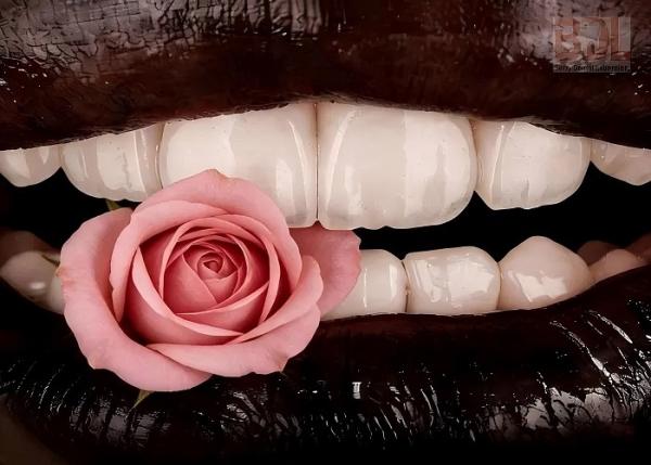 Quality Low Thermal Conductivity All Ceramic Dentures High Fracture Toughness Cementatio for sale