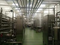 China High-Performance and Durable Coconut Processing Machine for Large-Scale Production Needs for sale