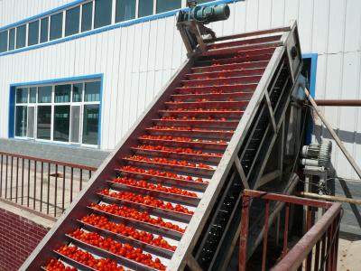 China Beverage Tomato Ketchup Production Line With 13kw Power And High Productivity for sale