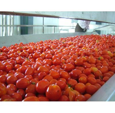 China Automatic Tomato Paste Making Machine 15000*6000*6000mm Tomato Puree Making Machine for sale