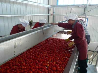 Китай Пищевая нержавеющая сталь 304/316 Машина для производства томатной пасты 500L Автоматическая линия производства кетчупа продается