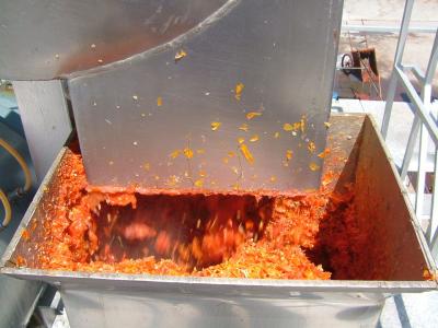 Китай Пищевая нержавеющая сталь 304/316 Машина для производства томатной пасты 500L Автоматическая линия производства кетчупа продается