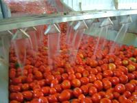 China High-Performance Tomato Paste Production Line for Large-Scale Tomato Processing for sale