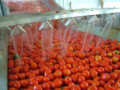 中国 飲料包装と加工のためのプロトマトペスト生産ライン 販売のため